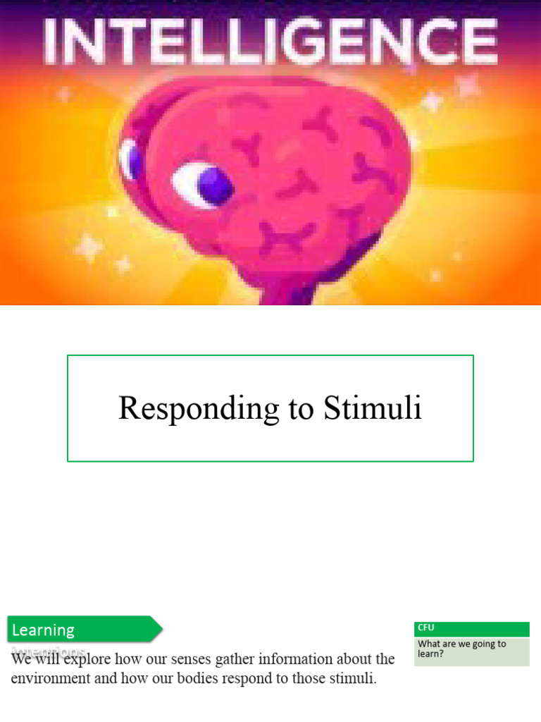 1 Responding To Stimuli | PDF | Senses | Stimulus (Physiology)