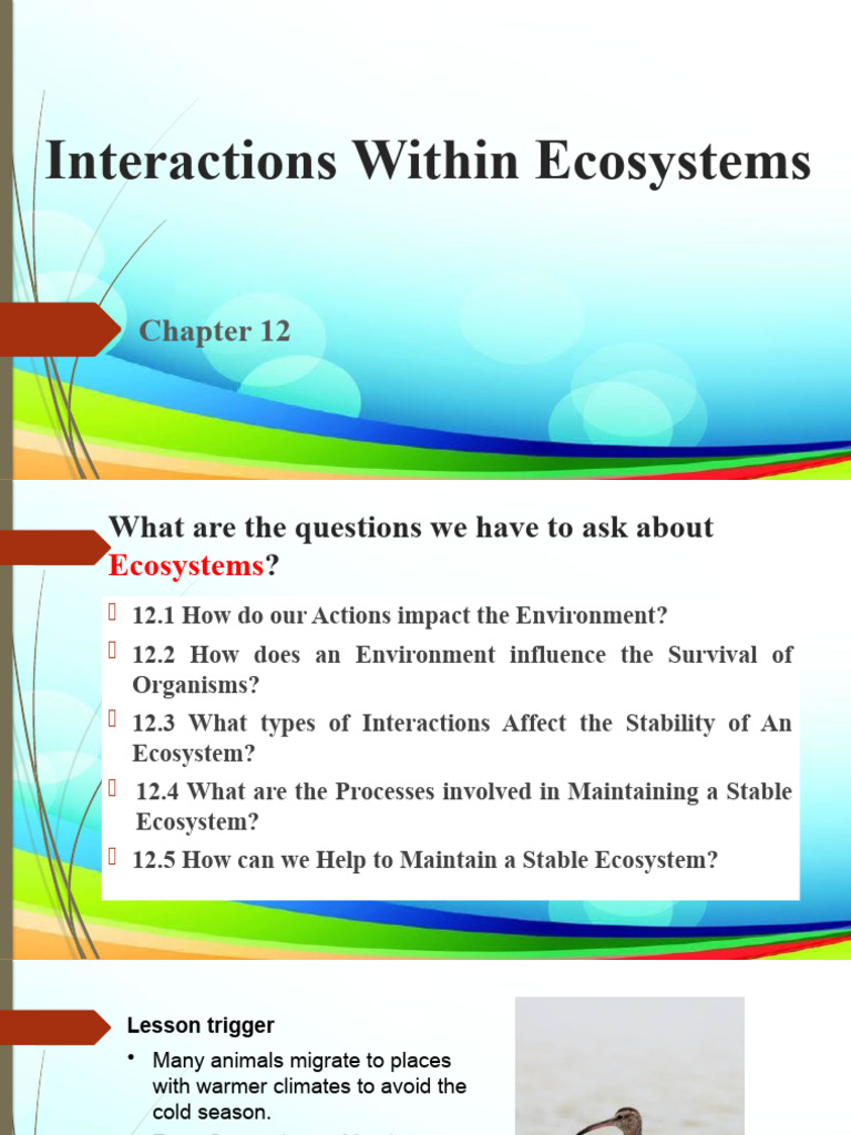 Ecosystem Interactions and Stability | PDF | Ecosystem | Foods