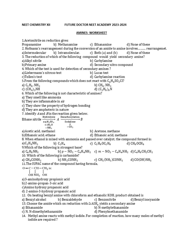 12.9 Amines WorkSheet | PDF | Amine | Methyl Group