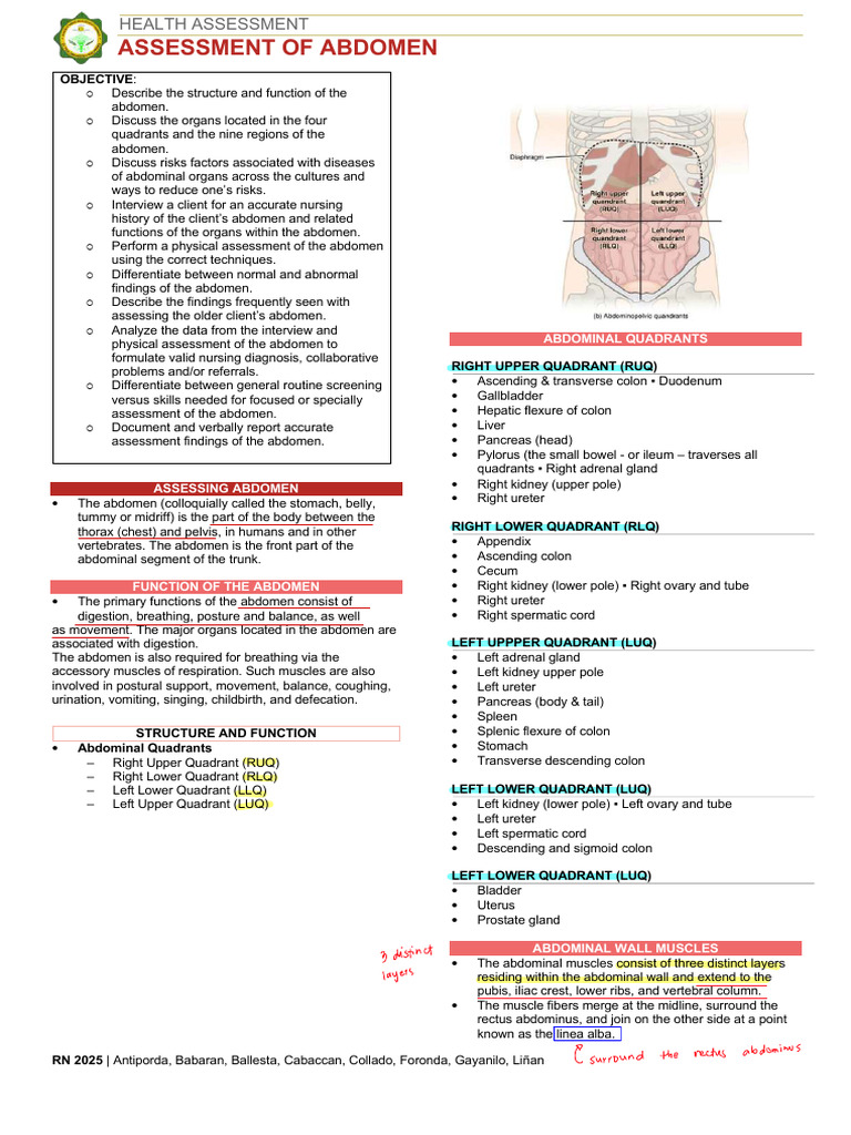 HA Notes Whole Term 2 | PDF | Abdomen | Anatomy