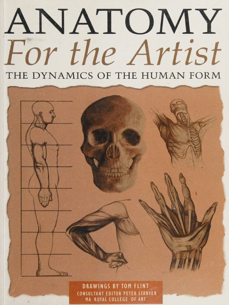 Anatomy For The Artist - The Dynamics of The Human Form - Flint, Tom ...