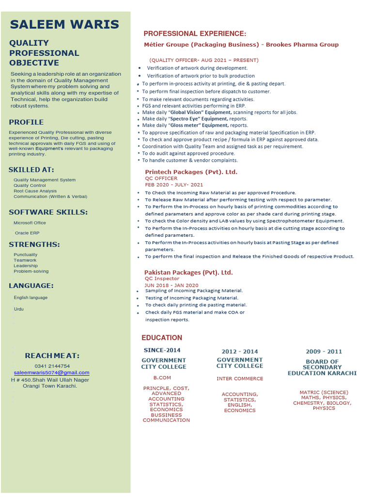 Saleem Waris CV | PDF | Verification And Validation