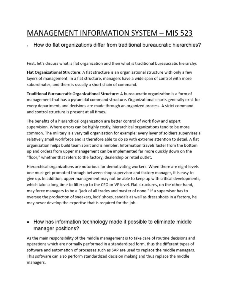 Management Information System Assignment | PDF | Hierarchy ...