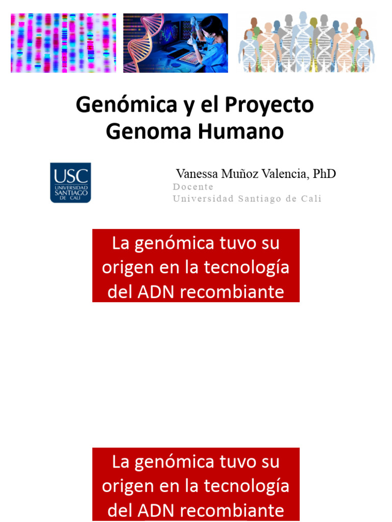 Clase 8 - Genómica y El Genoma Humano | PDF | Genoma | Gene