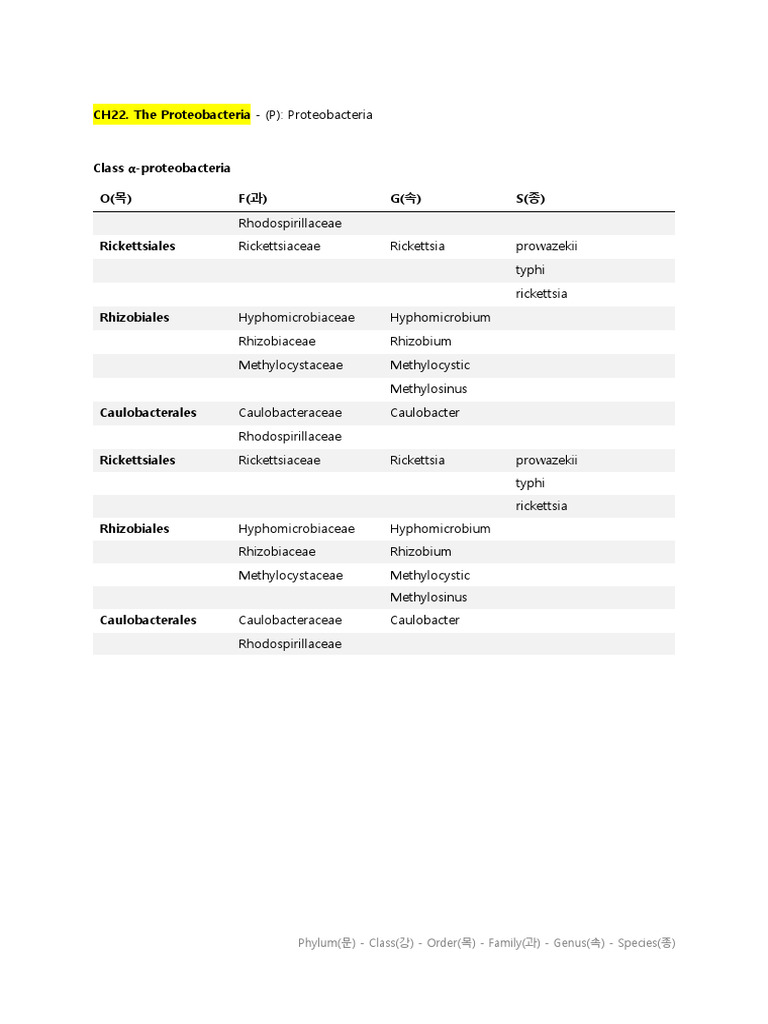 Proteobacteria and Firmicutes Overview | PDF | Fungus | Bacteria