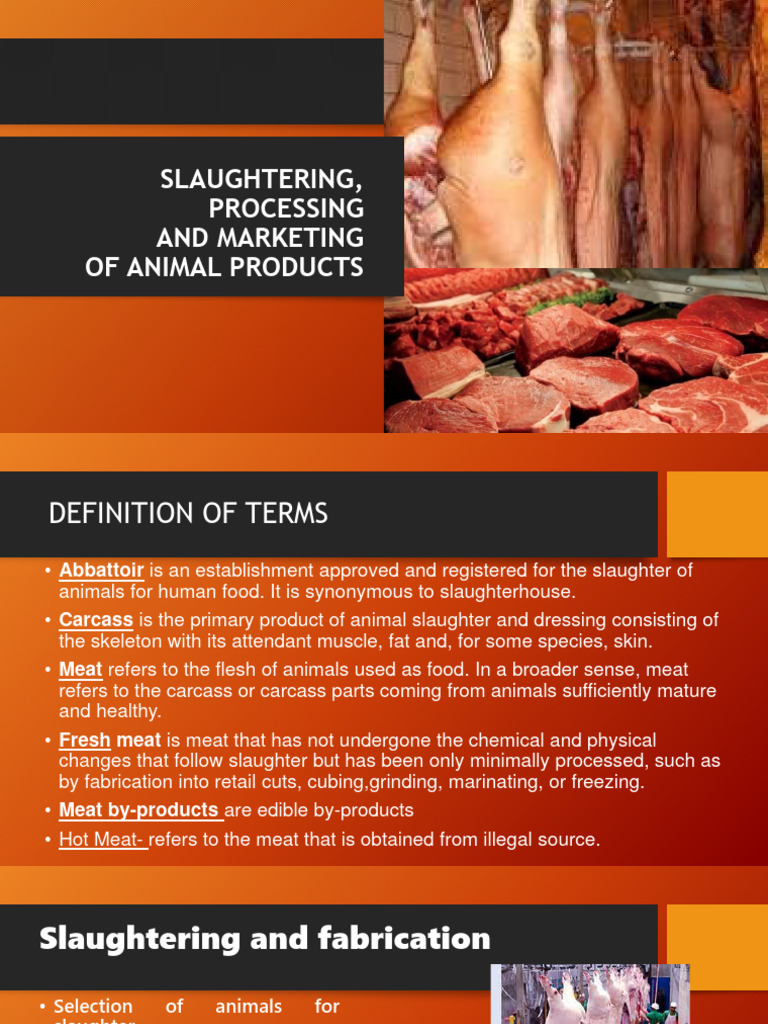 Slaughtering Processing and Marketing of Animal Products | PDF | Milk ...