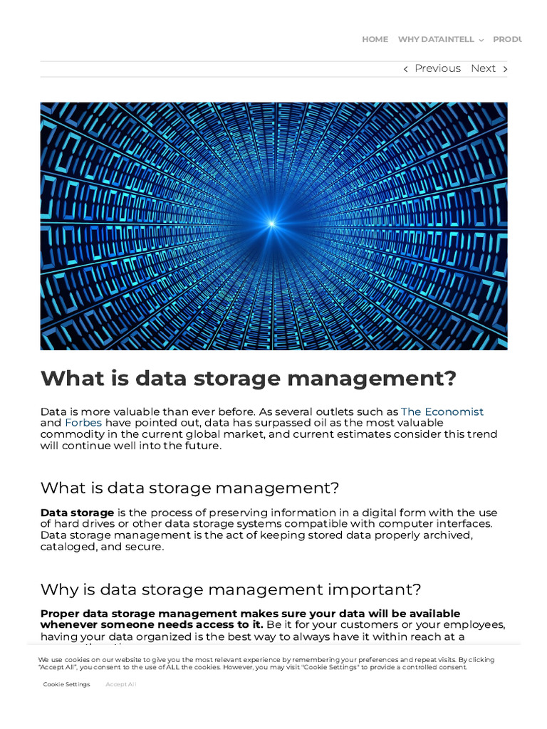 What Is Data Storage Management | PDF | Computer Data Storage | Computer Network