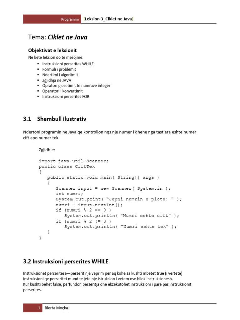 Leksion 3 - Ciklet Ne Java 2 | PDF