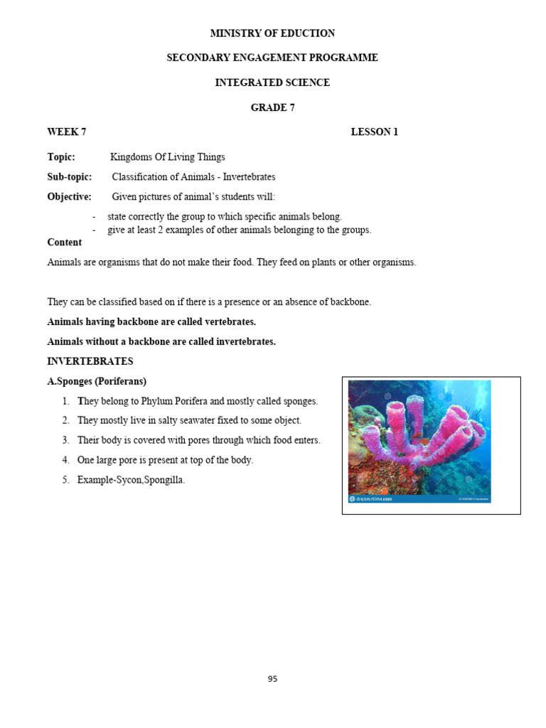 Invertebrate Animal Classification Guide | PDF | Invertebrate | Organisms