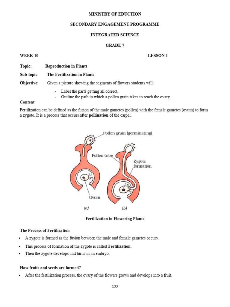 Fertilization Process in Flowering Plants | PDF