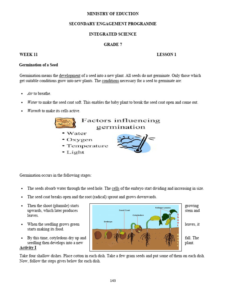 Germination | PDF | Seed | Germination