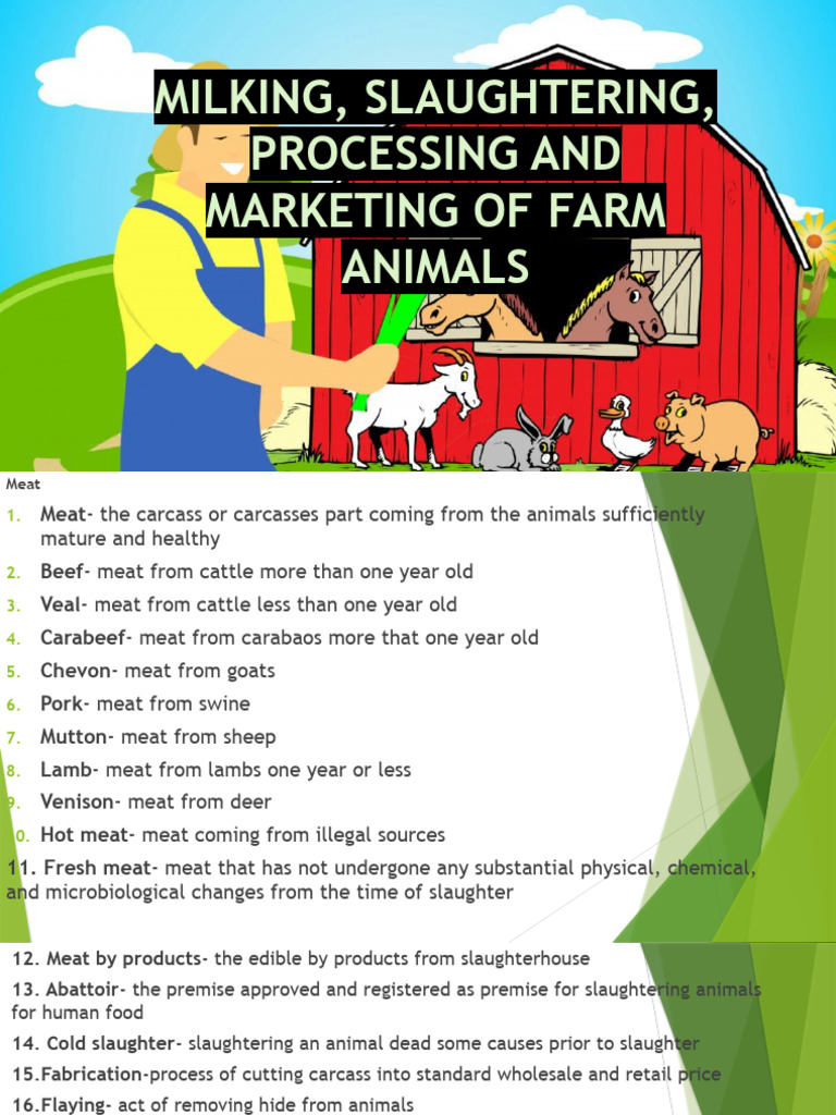 Milking Slaughtering Processing and Marketing of | PDF | Milk | Slaughterhouse