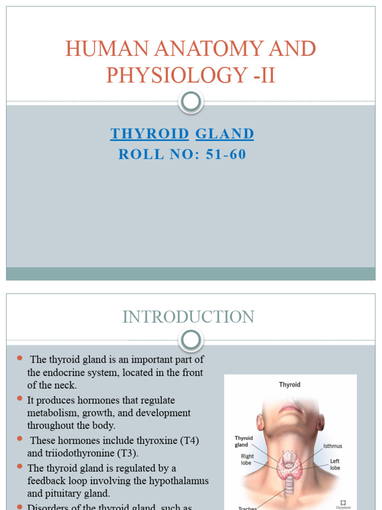 DOC-20240422-WA0000. | PDF | Thyroid | Hypothyroidism