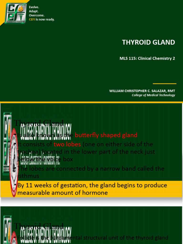 Thyroid Gland | PDF | Hypothyroidism | Thyroid Stimulating Hormone