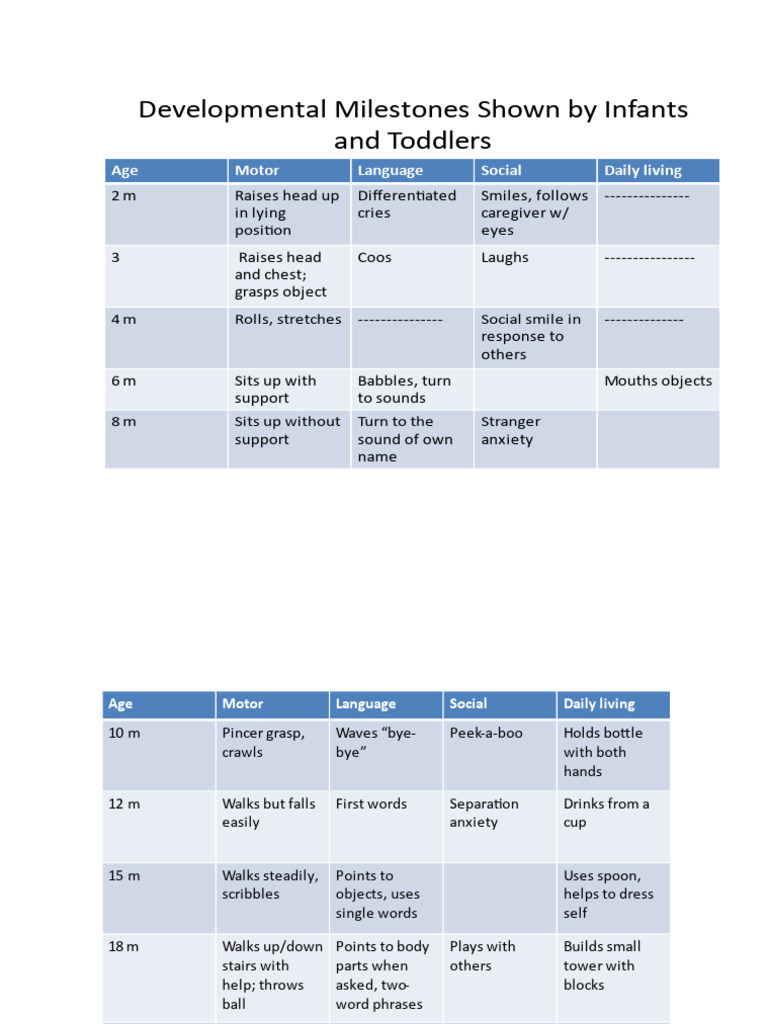 Intellectual Disability Handout | PDF