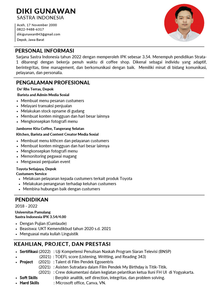 CV Diki | PDF | Seni