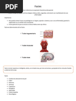 Tipos de Facies en Medicina | PDF | Salud y bienestar
