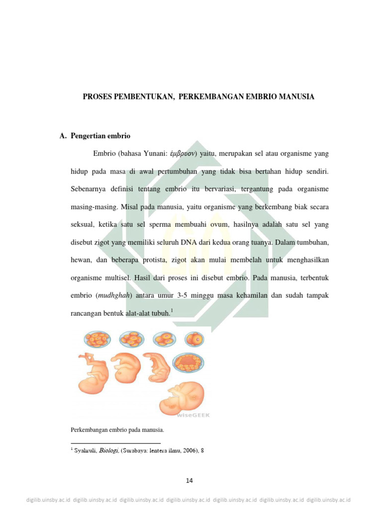 Proses Pembentukan, Perkembangan Embrio Manusia | PDF