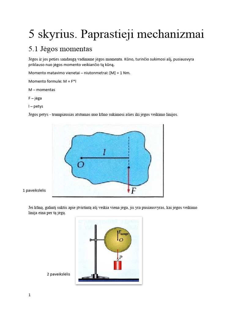5 Skyrius. Fizika | PDF
