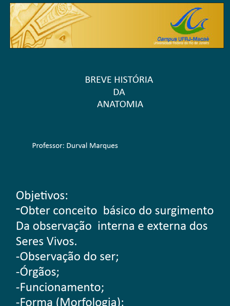 Breve História Da Anatomia Pdf Anatomia Corpo Humano