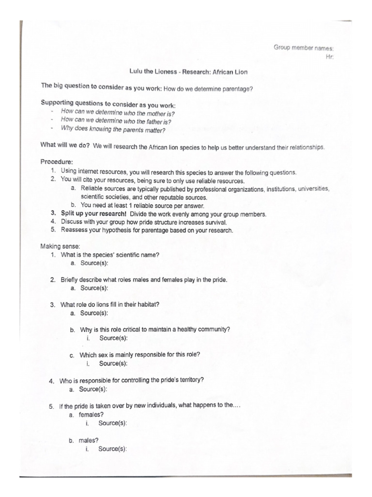 Group Member Names | PDF