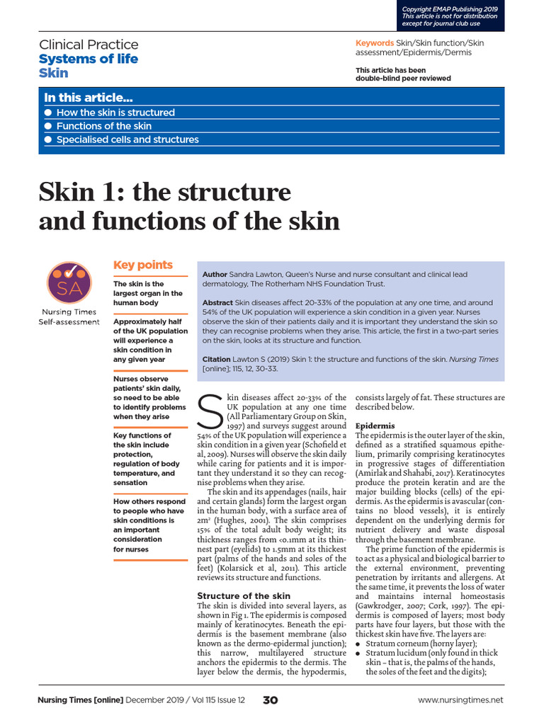 Skin | PDF | Skin | Integumentary System