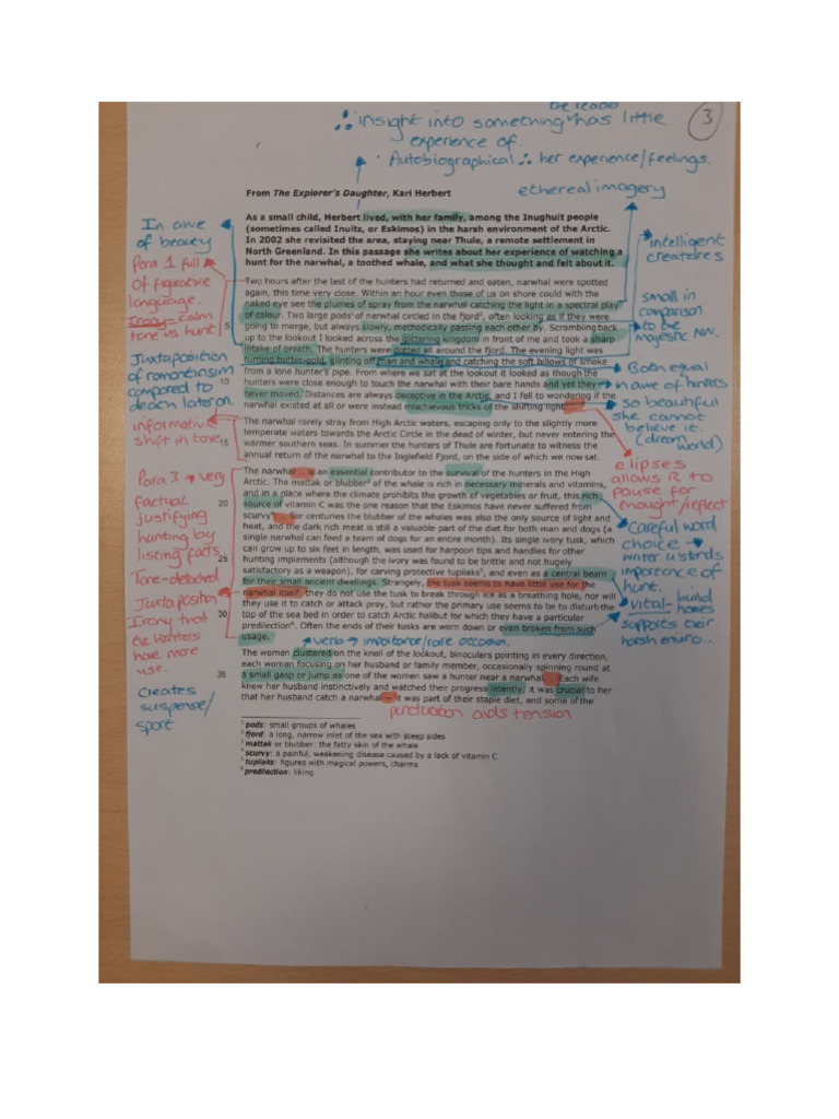 From the Explorer's Duaghter-Annotated | PDF