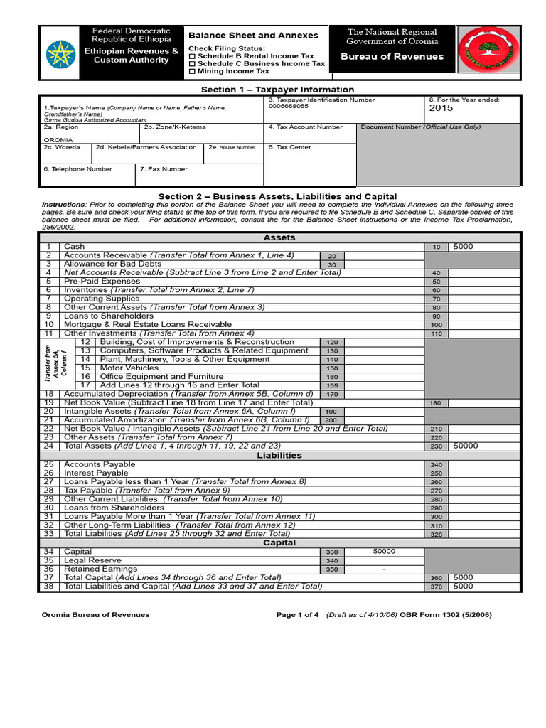 Balance Sheet Form With Annex | PDF | Book Value | Balance Sheet