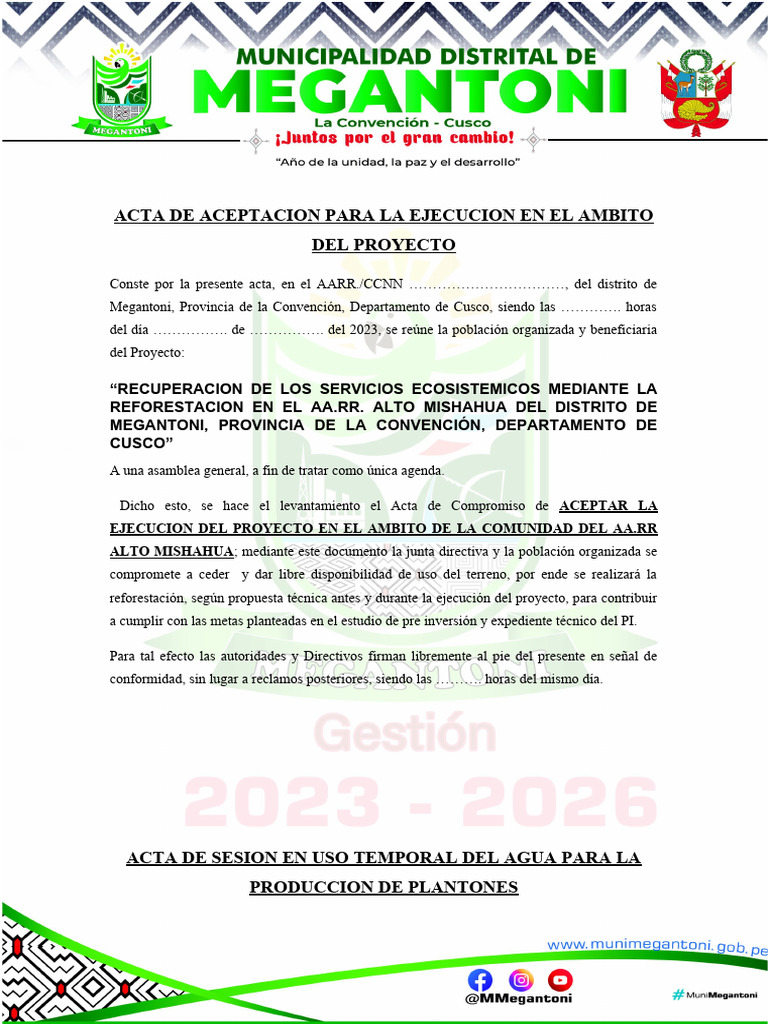 Acta de Ejecucion | PDF