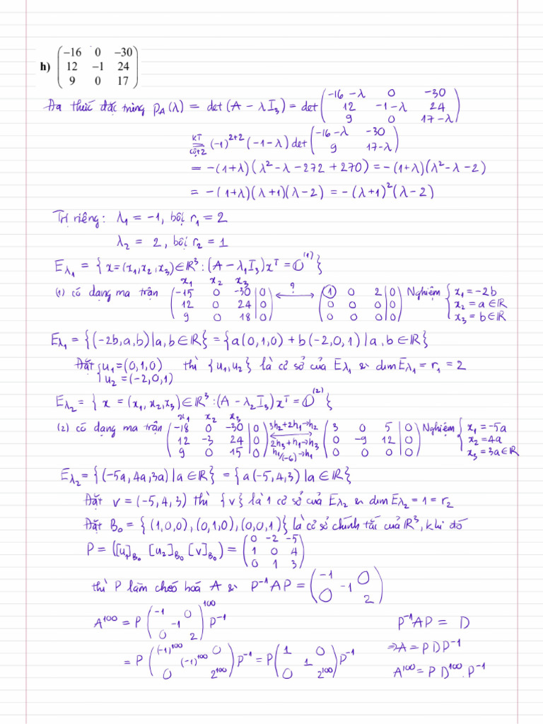 Ontap Daiso clc143 | PDF