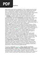 Skarb Troi Streszczenie | PDF