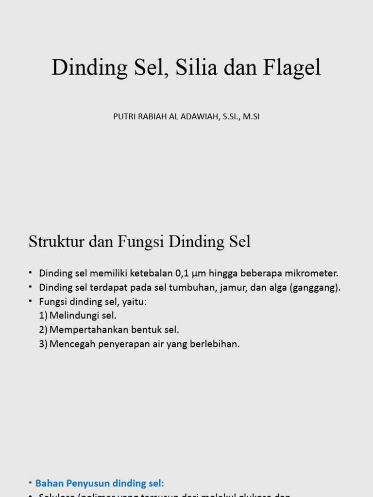 Dinding Sel, Silia Dan Flagel | PDF | Sains & Matematika