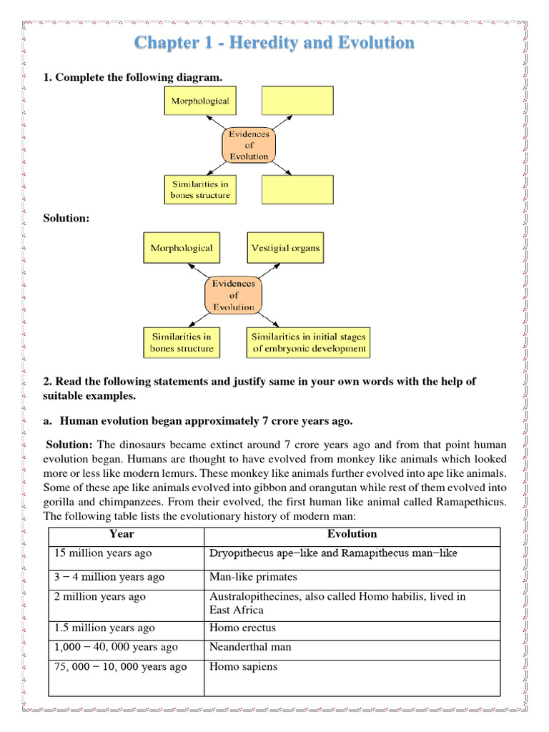 Heridity and Evulation | PDF | Homo | Heredity