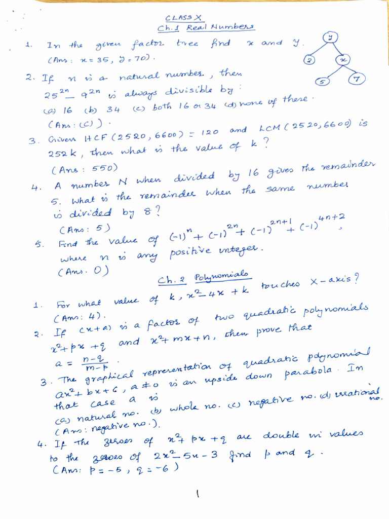 Chapter Wise Important Questions Part 1 | PDF
