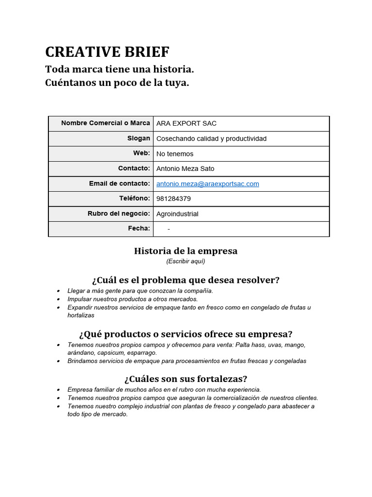Brief de La Empresa | PDF | Marketing | Publicidad