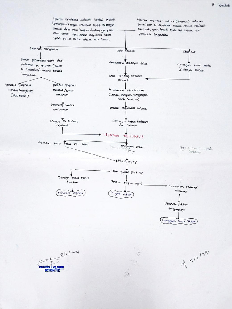 Pathway Hernia Inguinalis | PDF
