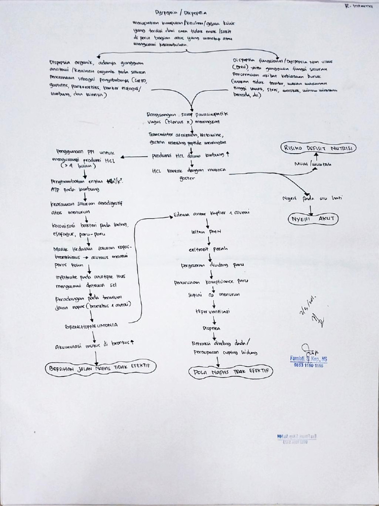Pathway Dyspepsia | PDF