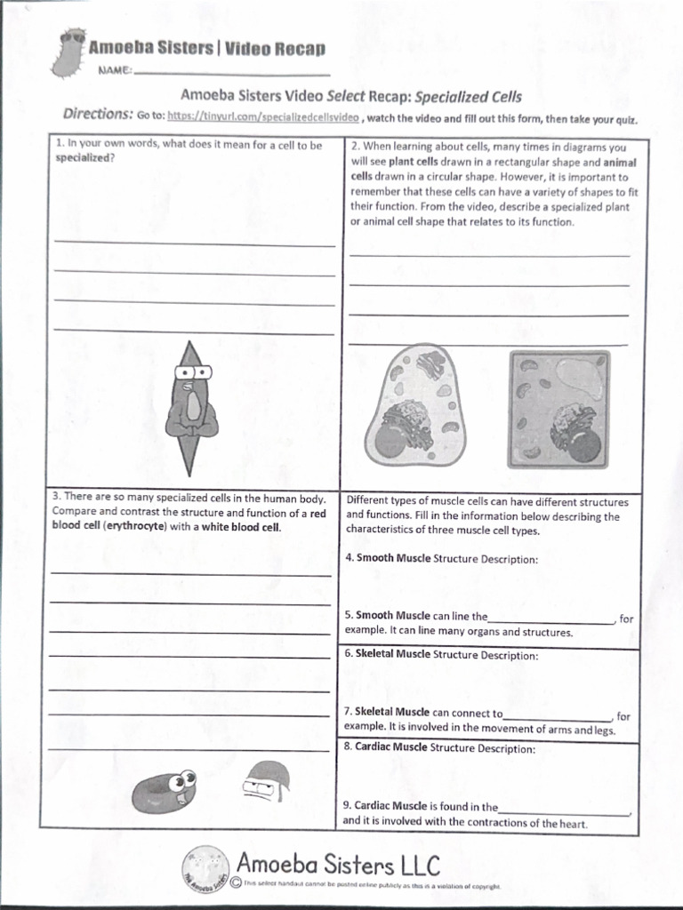Amoeba Sister Specialized Cells | PDF