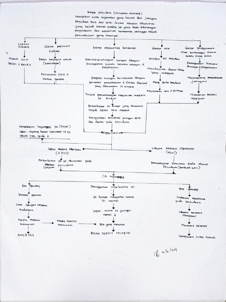 Pathway CA Mammae | PDF