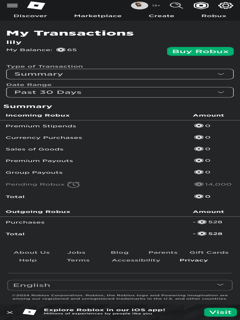 My Transactions - Roblox | PDF