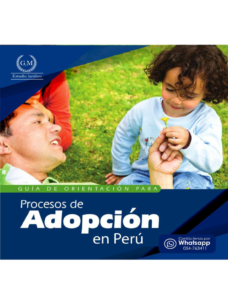 Proceso de Adopción | PDF