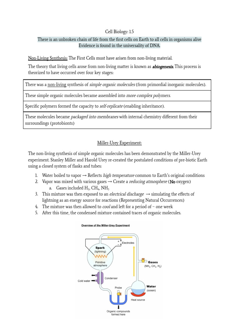 Simple Organic Molecules More Complex Polymers. Self-Replicate Packaged ...