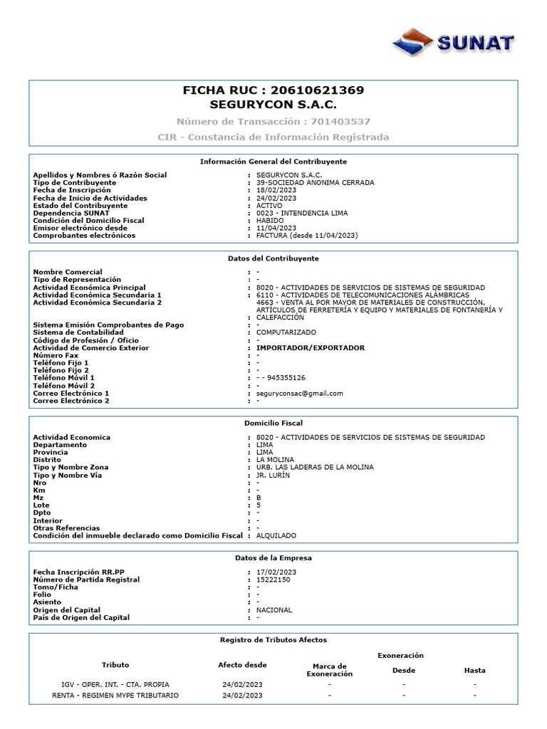 Ficha Ruc Segurycon | PDF