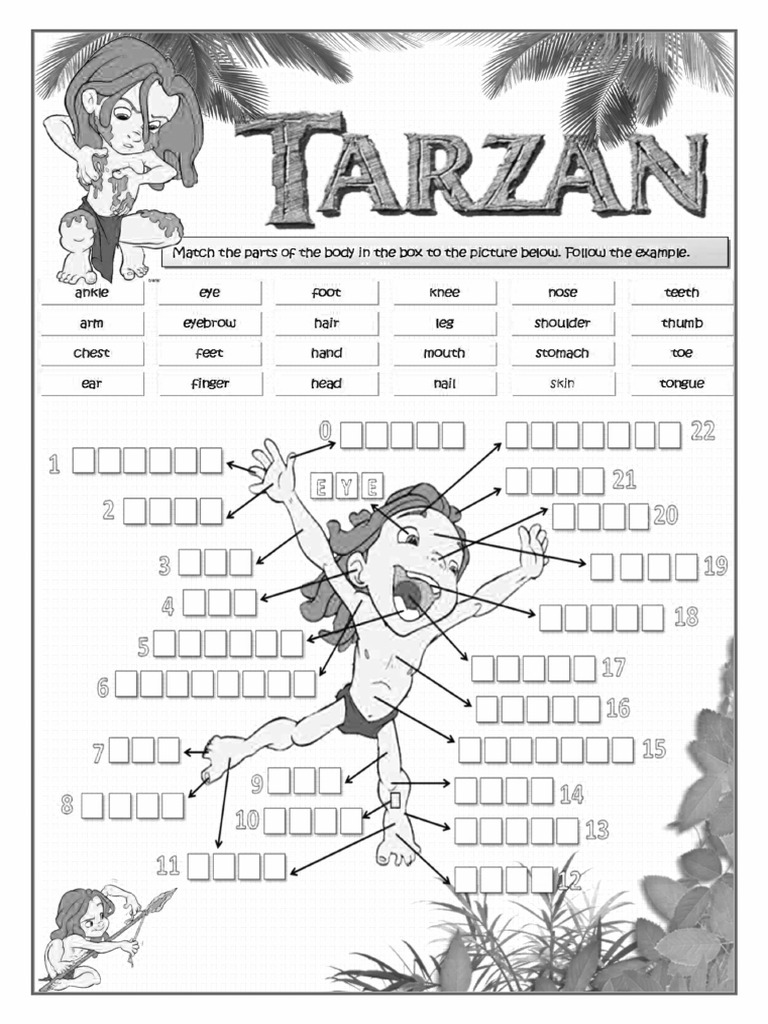 Tarzan Body Wordsearch | PDF
