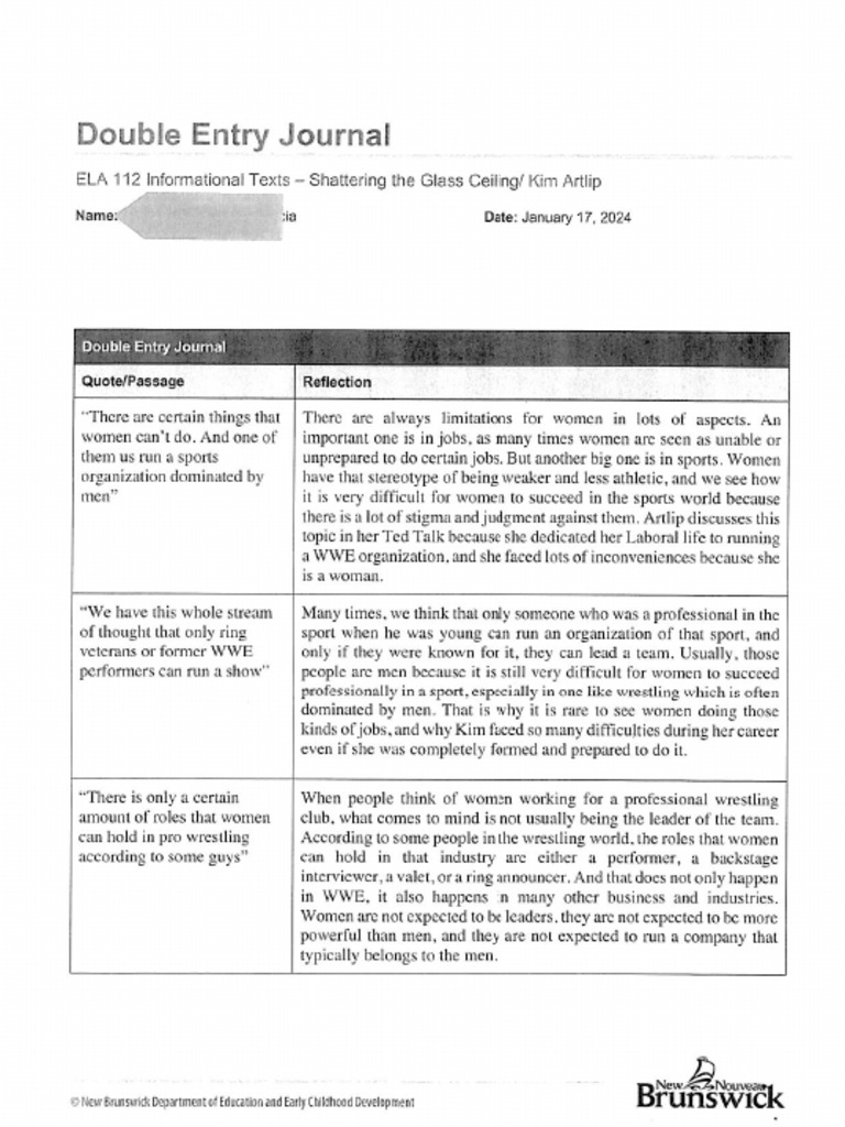 Double Entry Journal Sample 1 | PDF