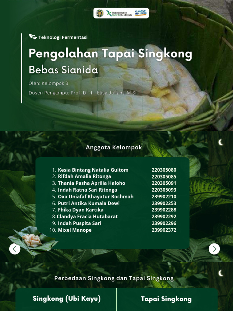 Proses Fermentasi Tapai Singkong | PDF