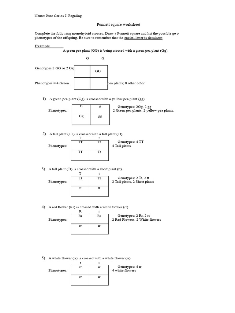 Genetics Lab Punnet Activity | PDF | Genotype | Dominance (Genetics)