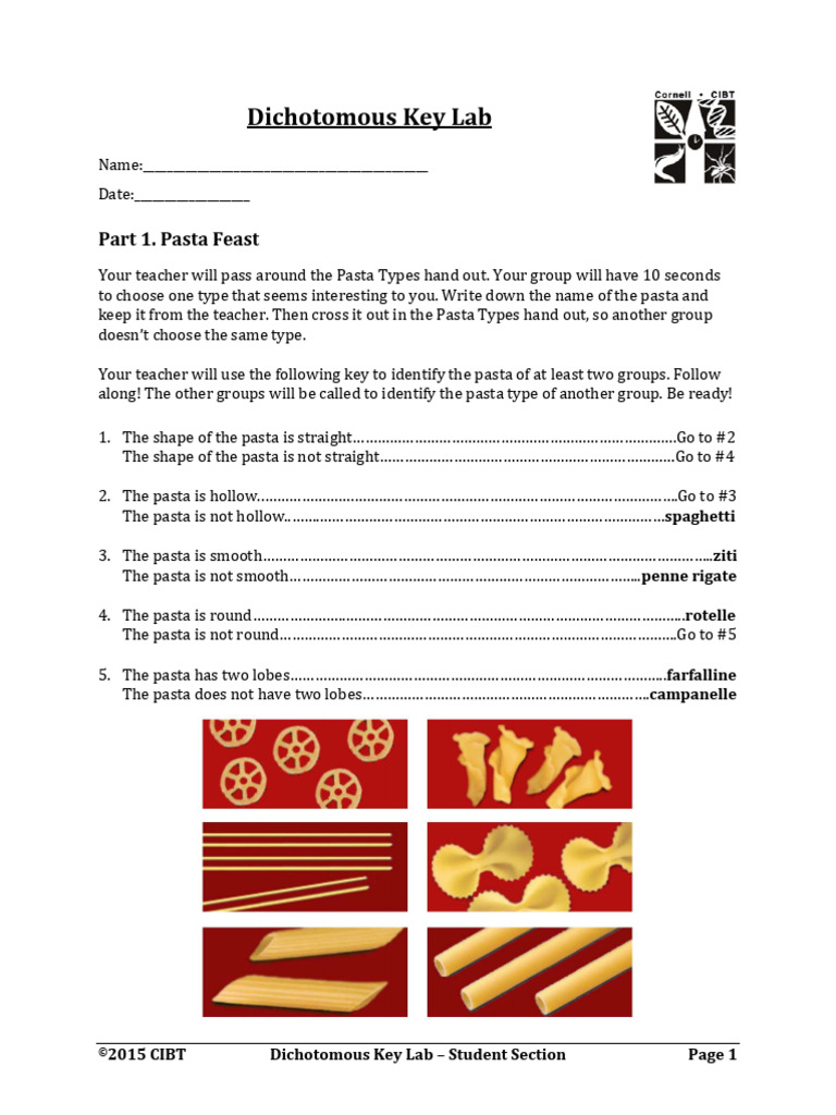 Pasta Dichotomous Key Lab Activity | PDF
