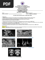 Mapeh 8 Q4 Module | PDF | Performing Arts