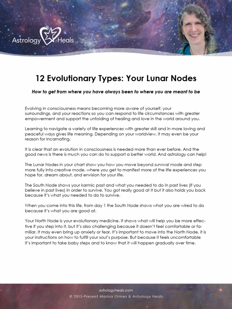 12 Evolutionary Types | PDF | Reincarnation | Psychology